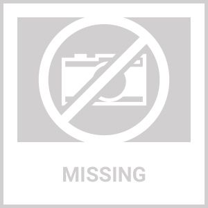 Single Outlet Water Timer with Ball Valves